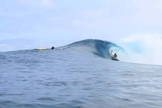 Best Time for Whale Watching in Rarotonga & Cook Islands 2019 - Rove.me