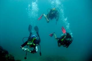 Shigmo 2019 in Goa - Dates