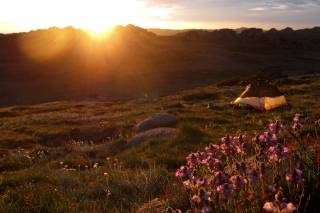 Best time for Stampede Trail and Bus 142 in Alaska 2019 & Map