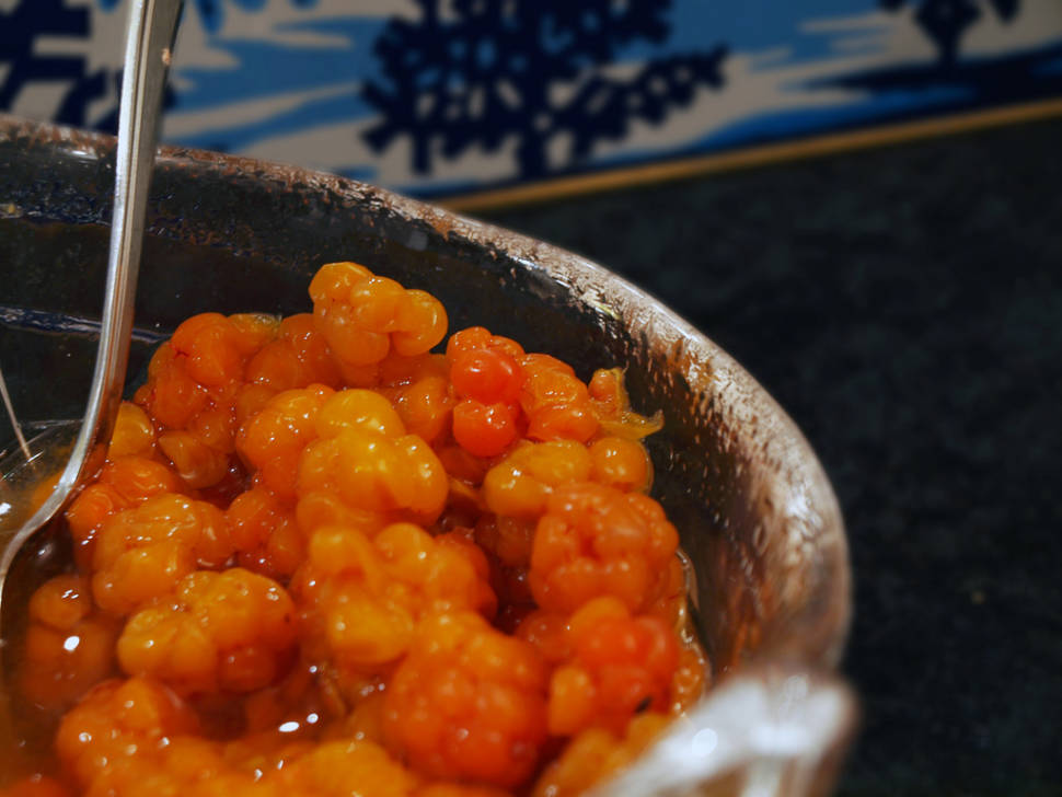 Cloudberry Season in Norway 2019 – Rove.me