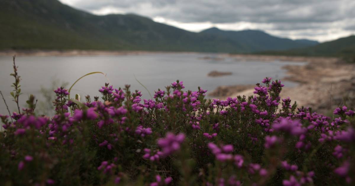 Scotland Summer Weather - Rove.me