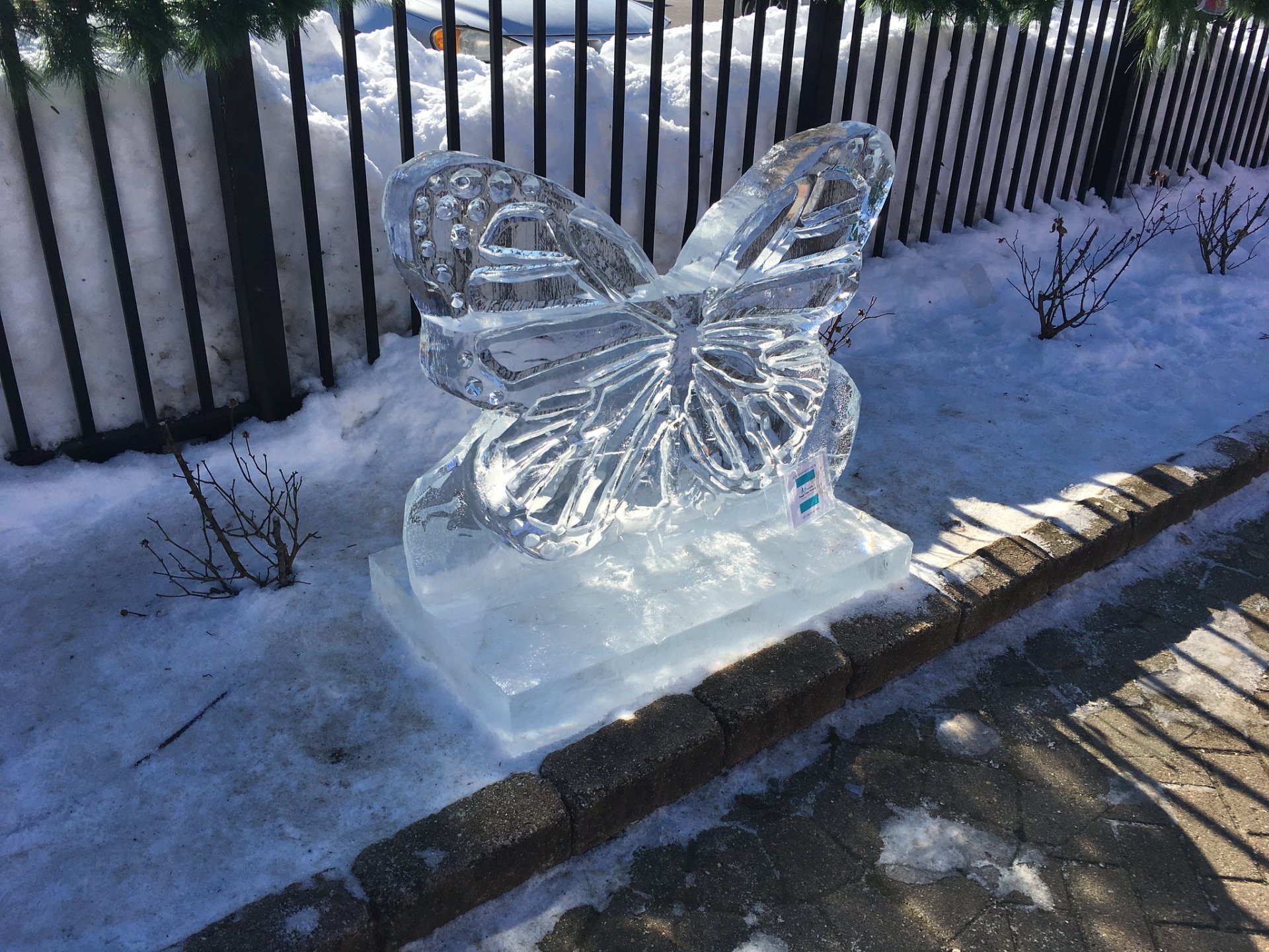 Hunter Ice Festival 2025 in Michigan - Rove.me