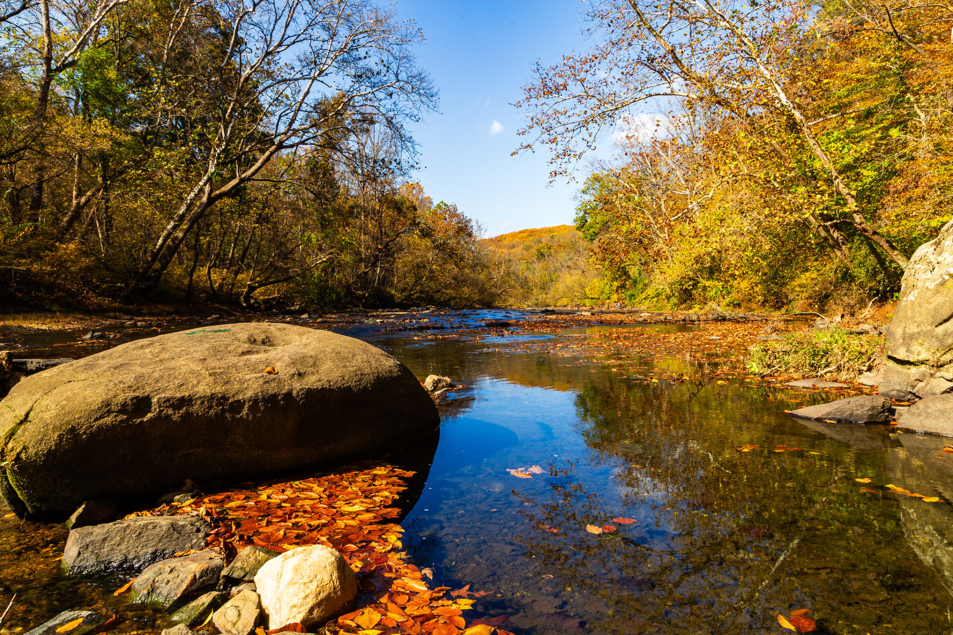 Fall Foliage in Baltimore, MD 2025 - Rove.me