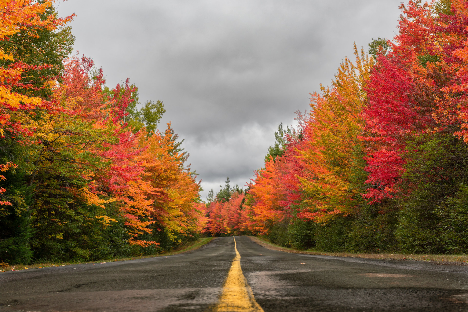 Best Time To See Fall Colors In New Brunswick 2024 Rove me