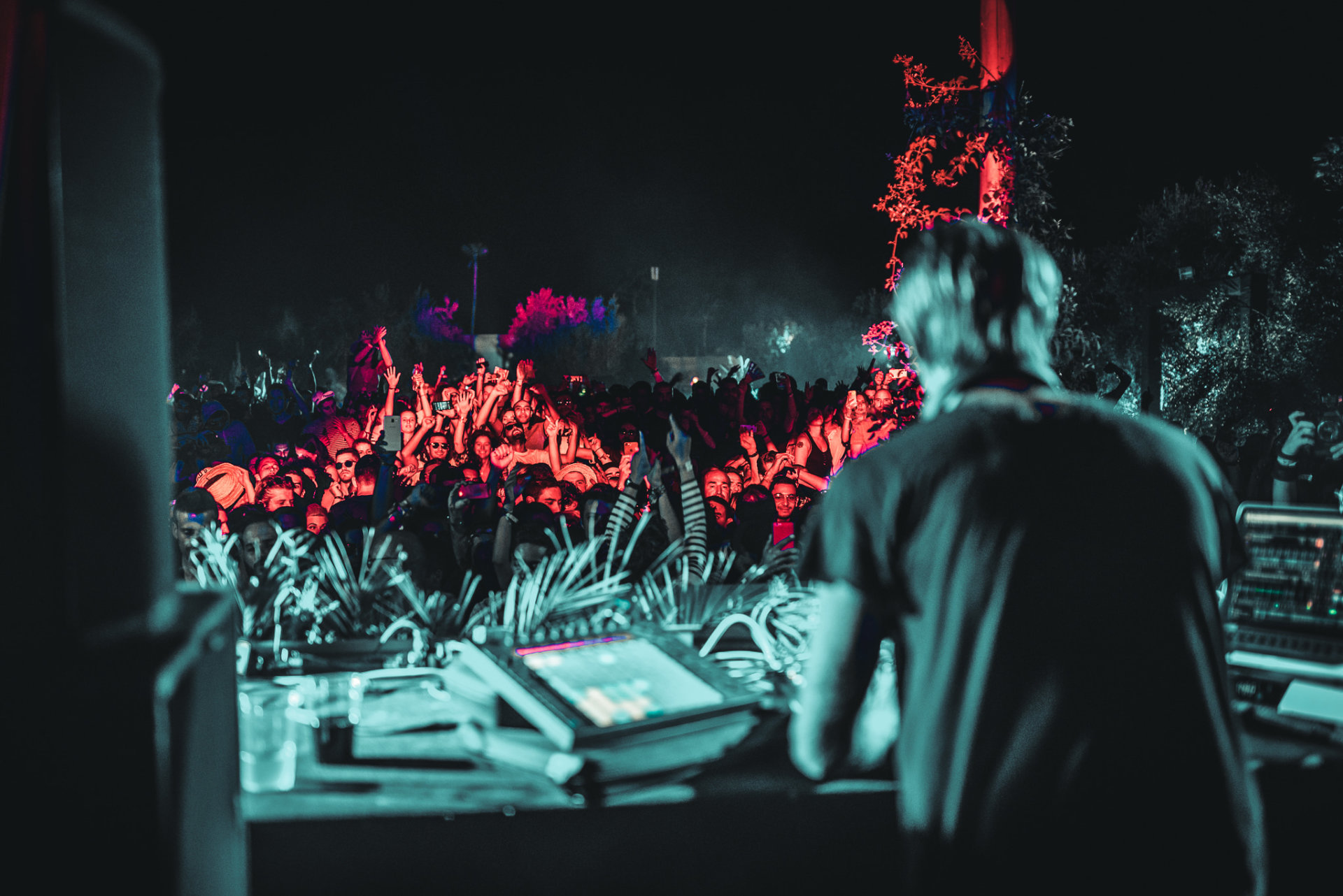 Oasis Festival 2024 in Morocco - Rove.me