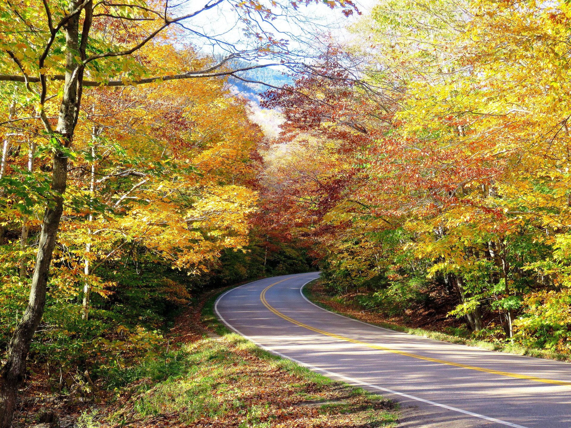 07 2023 Best Time To See Vermont Fall Foliage 2023 07 2023 Best Time To See Vermont Fall Foliage 2023