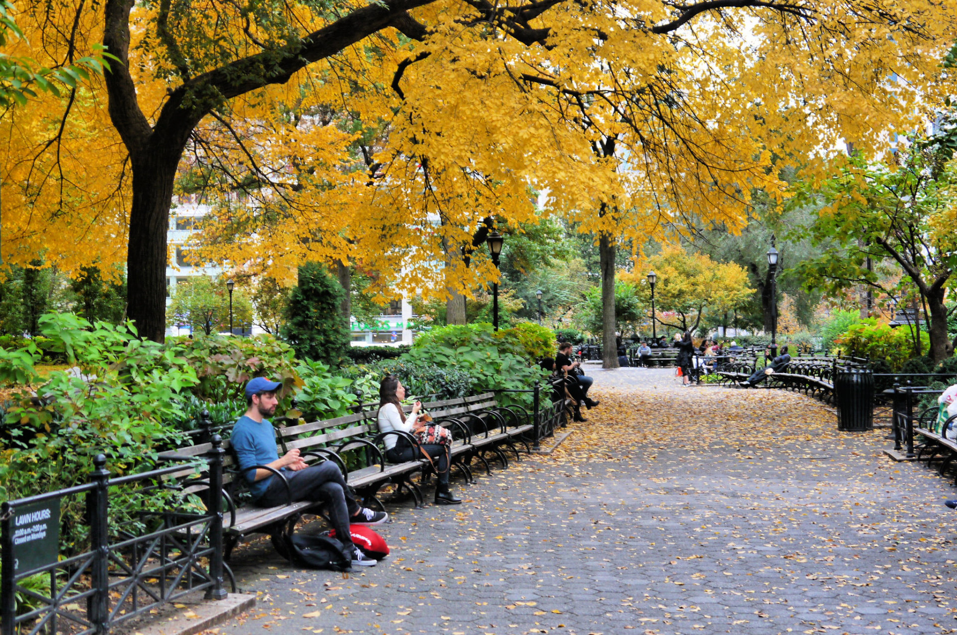 Best Time To See Fall Foliage In New York City NYC 2023 Rove me