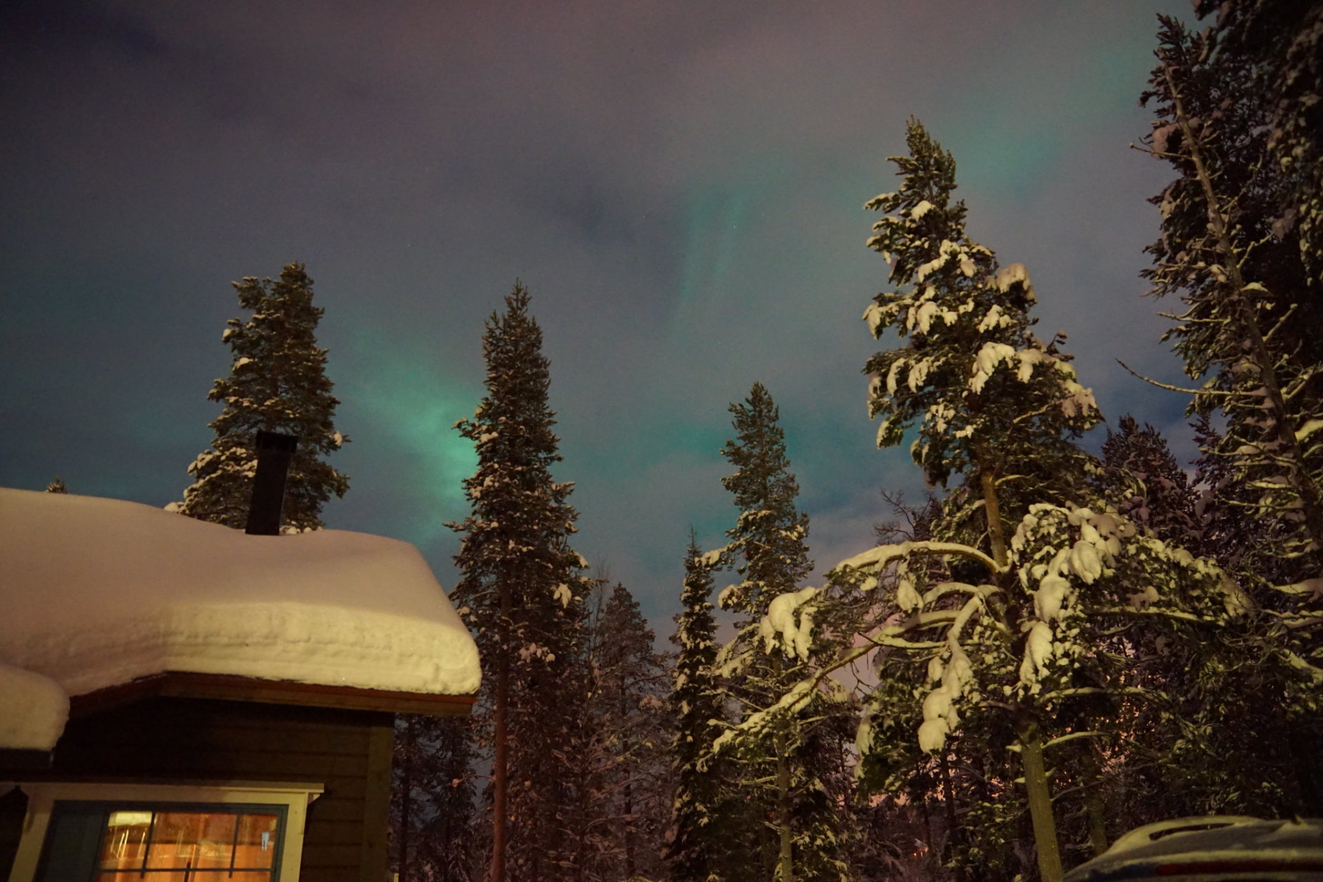 Northern Lights in Levi, Finland 2025-2026 - Rove.me