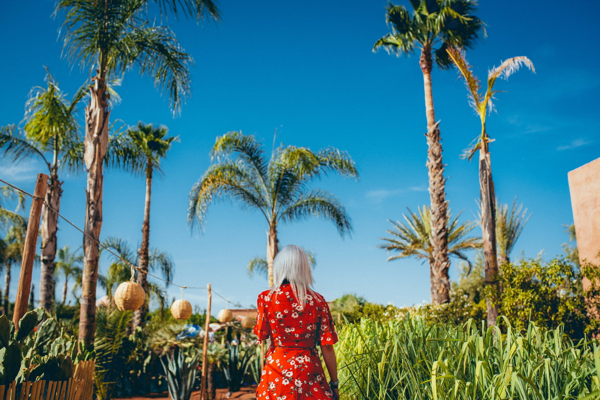 Oasis Festival 2024 in Morocco - Rove.me