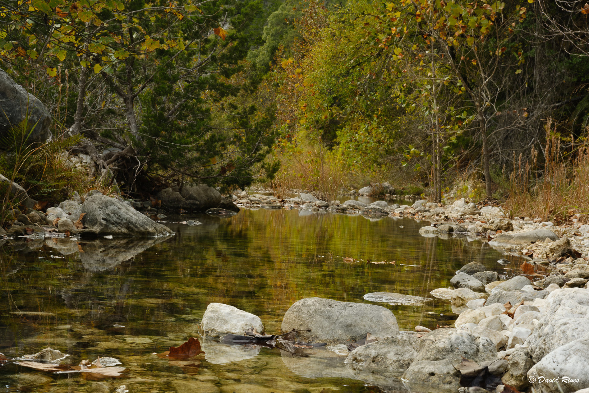 Texas Fall Colors 2024 - Rove.me