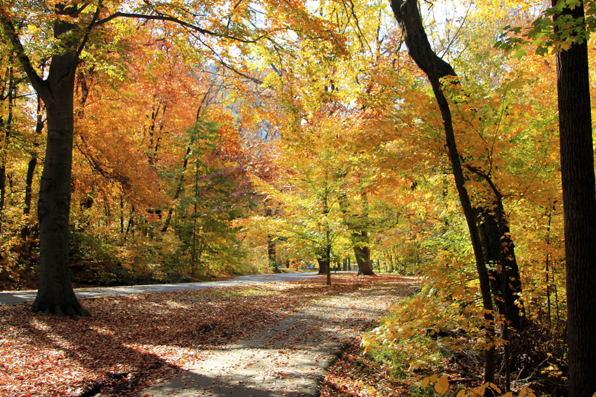 Best Time To See Kentucky Fall Colors 2024 When To See Rove me Best Time To See Kentucky Fall Colors 2024 When To See Rove me