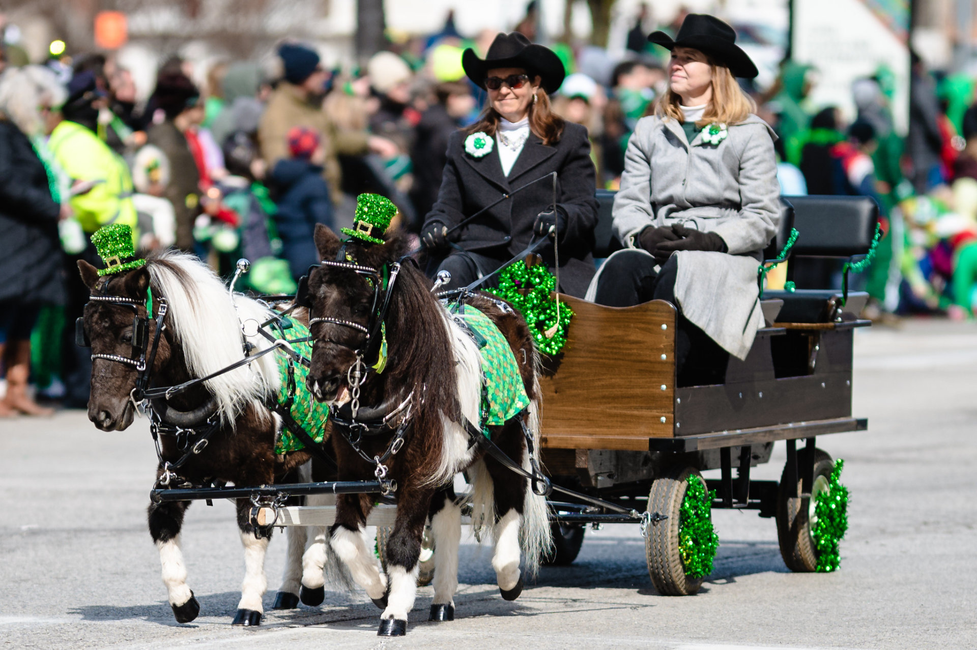 St. Patrick's Day Parade 2025 in Cleveland, OH - Rove.me