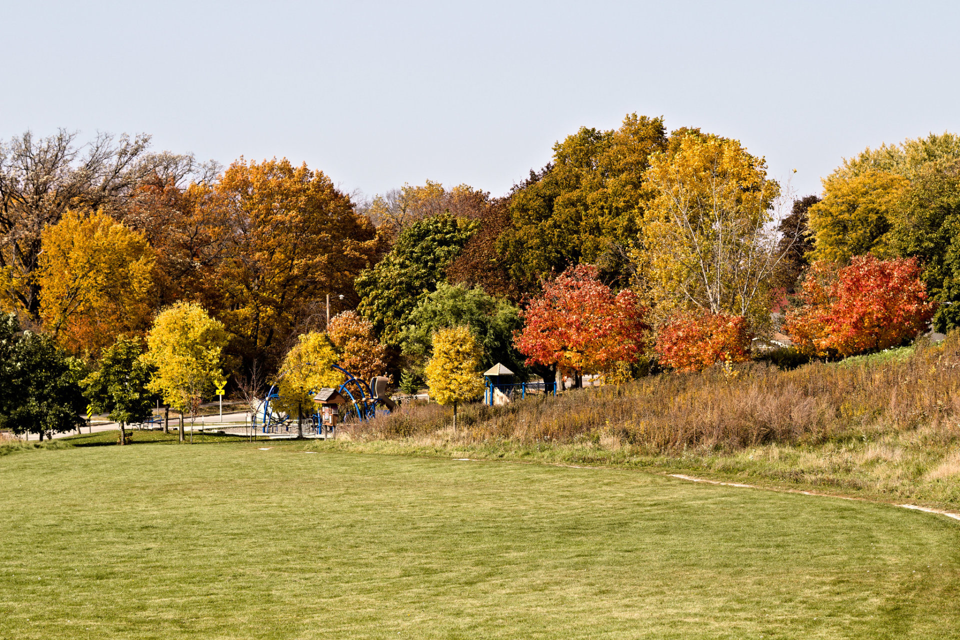 Fall Colors in Milwaukee, WI 2024 - Rove.me